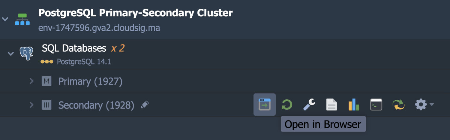 Using Primary-Secondary Replication by PostgreSQL for Auto-Clustering