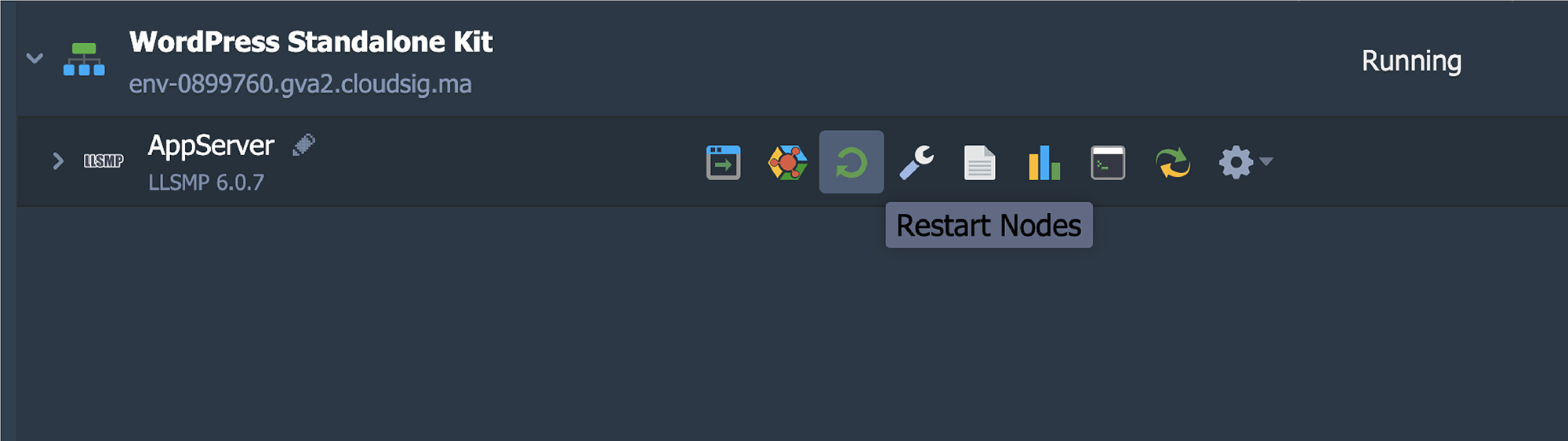 Using an Elastic Standalone Container to Host WordPress with CloudSigma PaaS