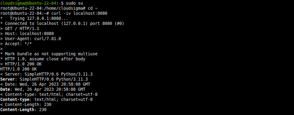 Containerize A Python App Using Docker • Cloudsigma