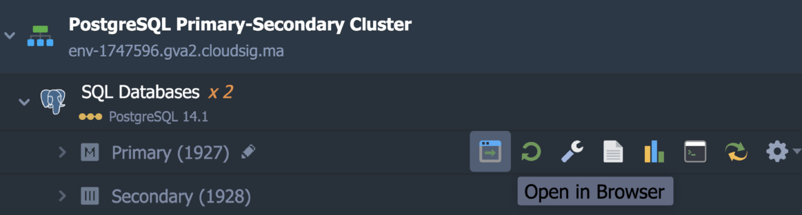 Using Primary-Secondary Replication by PostgreSQL for Auto-Clustering