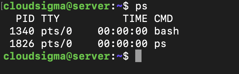 Manage Processes in Linux-Guide Using ps, kill, nice- CloudSigma